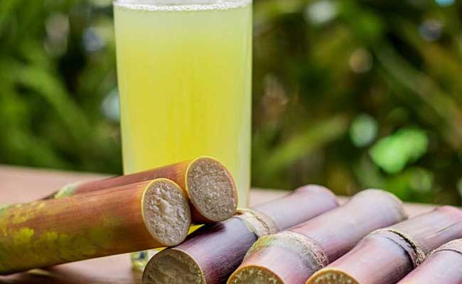 Les Origines du mot Sucre | Ile Maurice