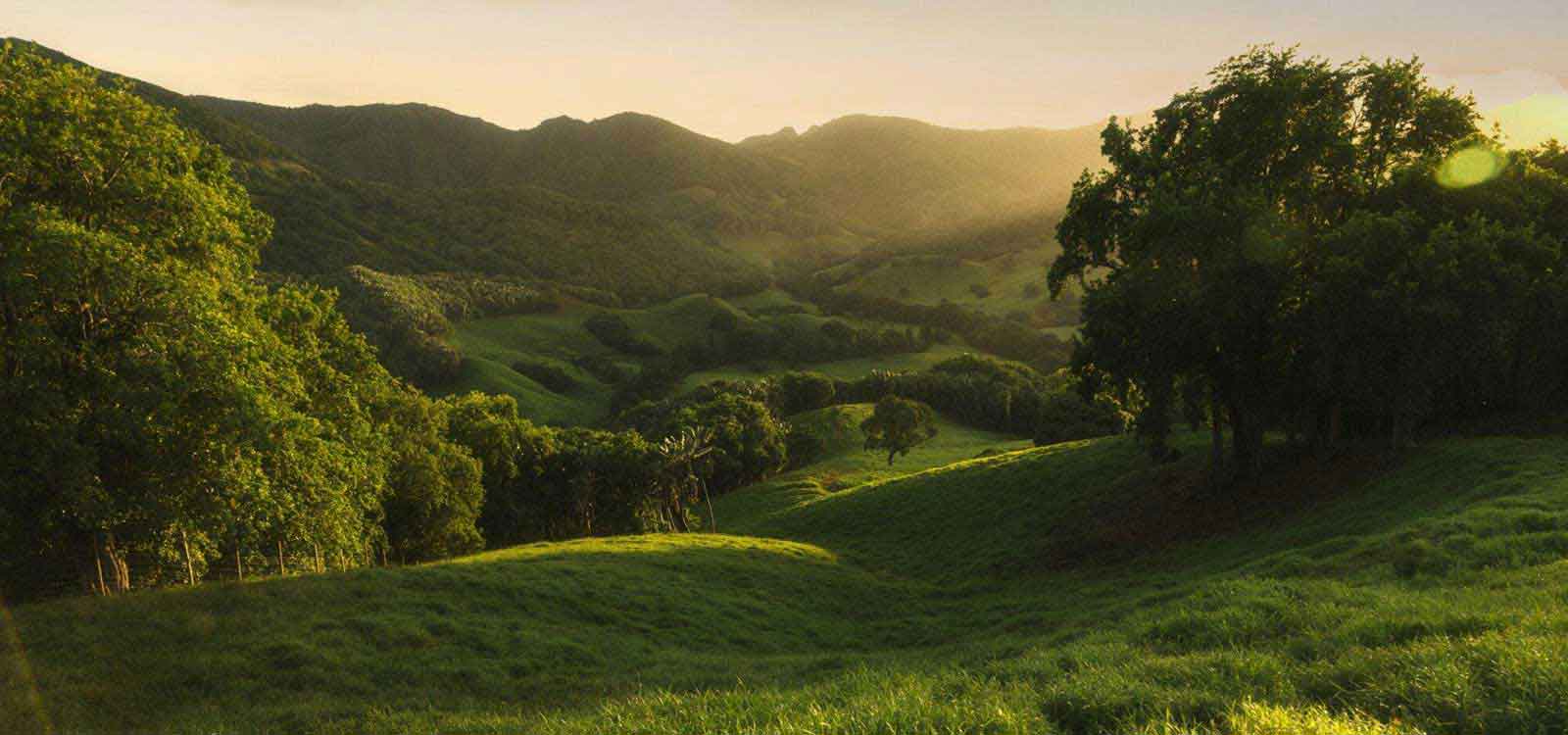 Valley of Ferney | Ile Maurice