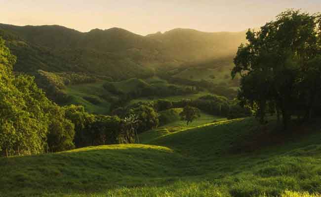 Valley of Ferney | Ile Maurice