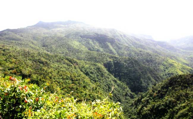 Best Hiking Trails in Mauritius | Travel
