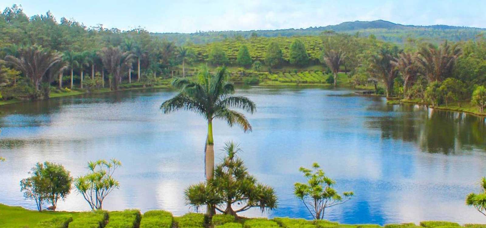 Only In Mauritius | Ile Maurice