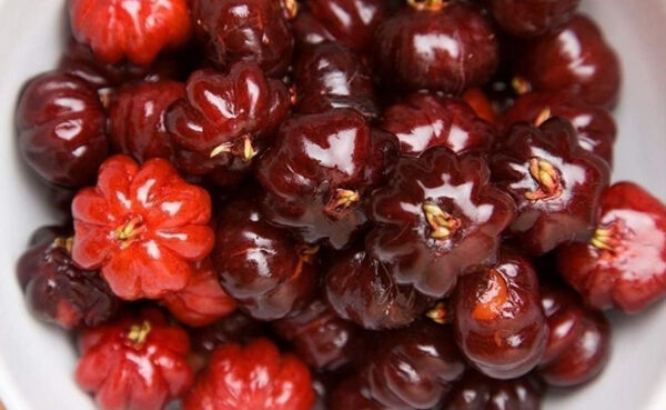 Exotic Fruits in Mauritius | Mauritius