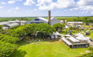Sugar Cane History in Mauritius | Mauritius